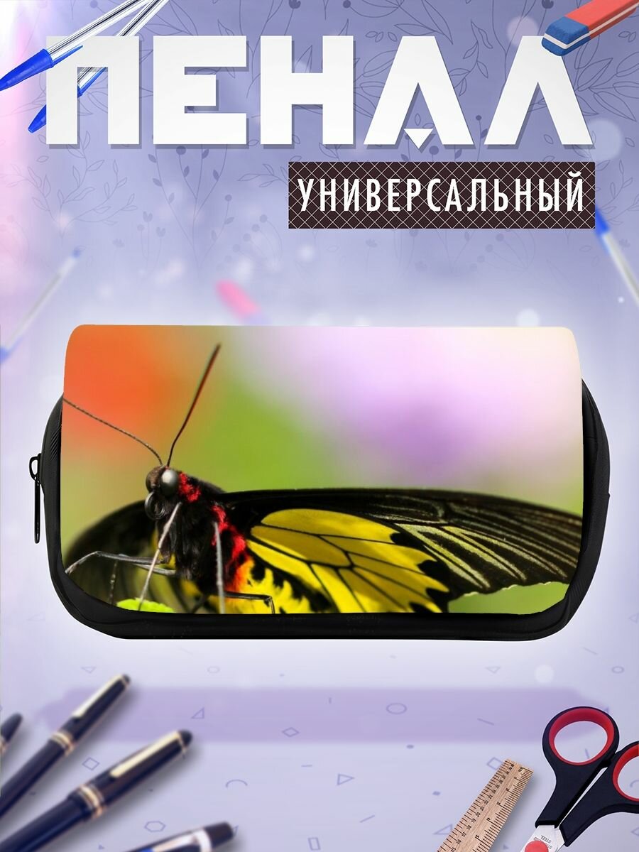Школьный пенал насекомое беспозвоночных