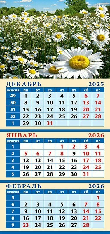 Календарь на 2026 год квартальный на магните 11*24,5 см Ромашки
