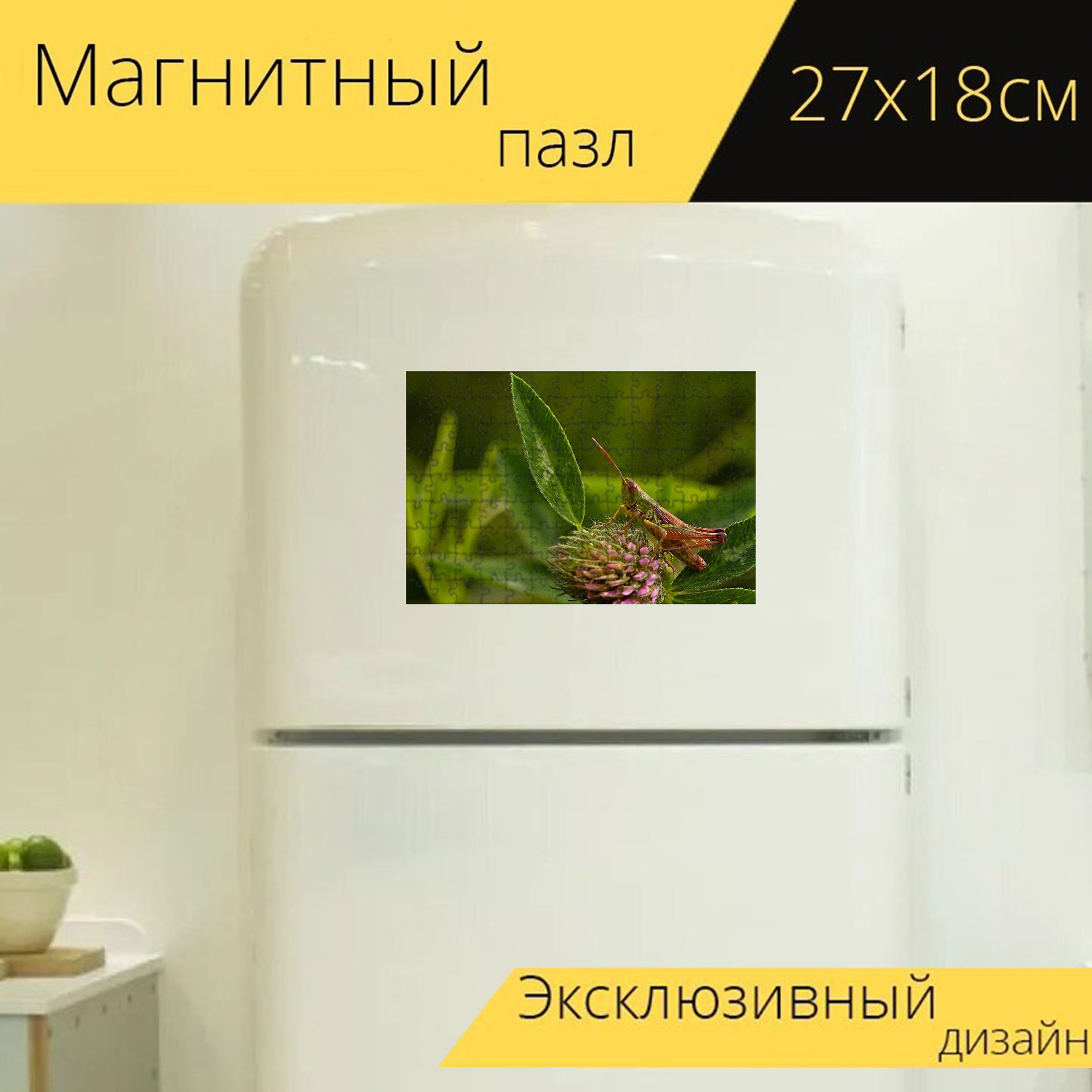 Магнитный пазл "Насекомое, кузнечик, саранча" на холодильник 27 x 18 см.