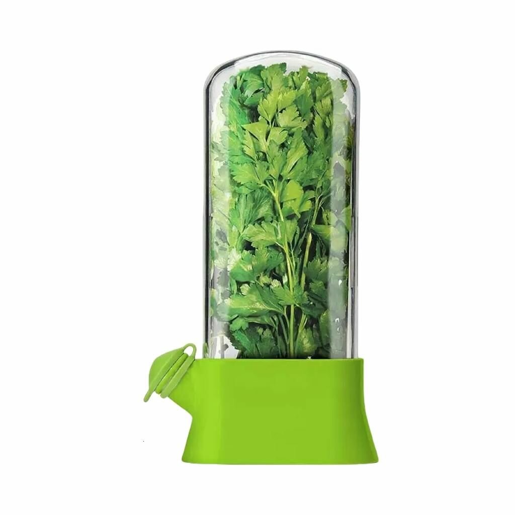 Прозрачный контейнер для зелени с отверстиями, Зеленый
