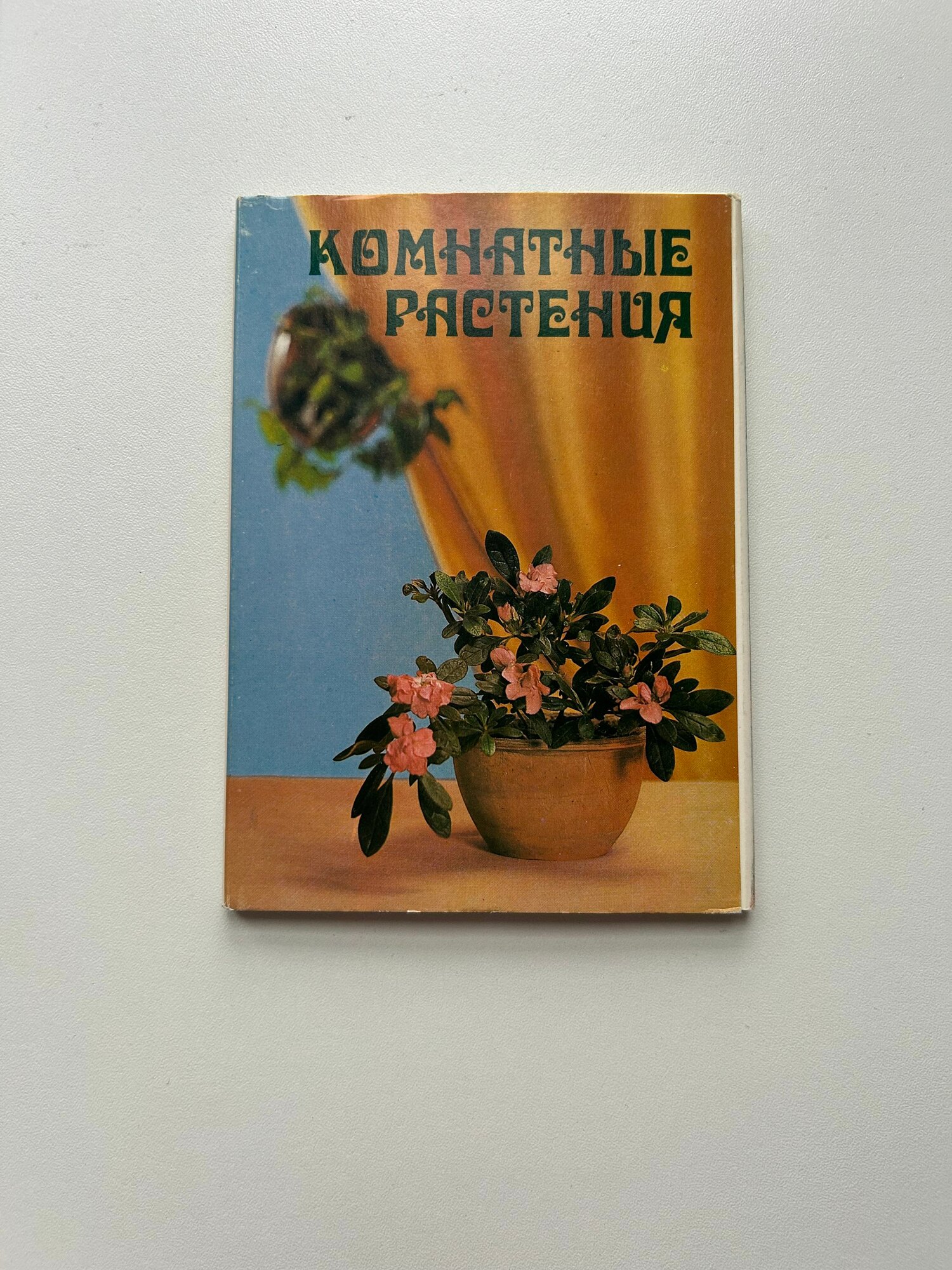 Набор открыток Комнатные растения . Полный комплект из 25 открыток. Издание 1983 года