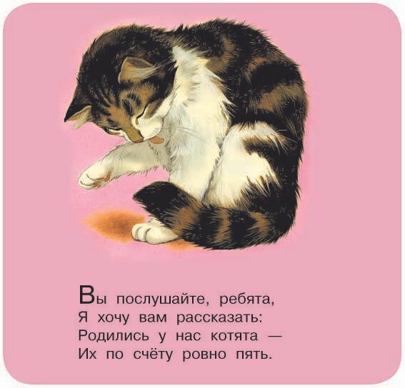 Котята — фото 1