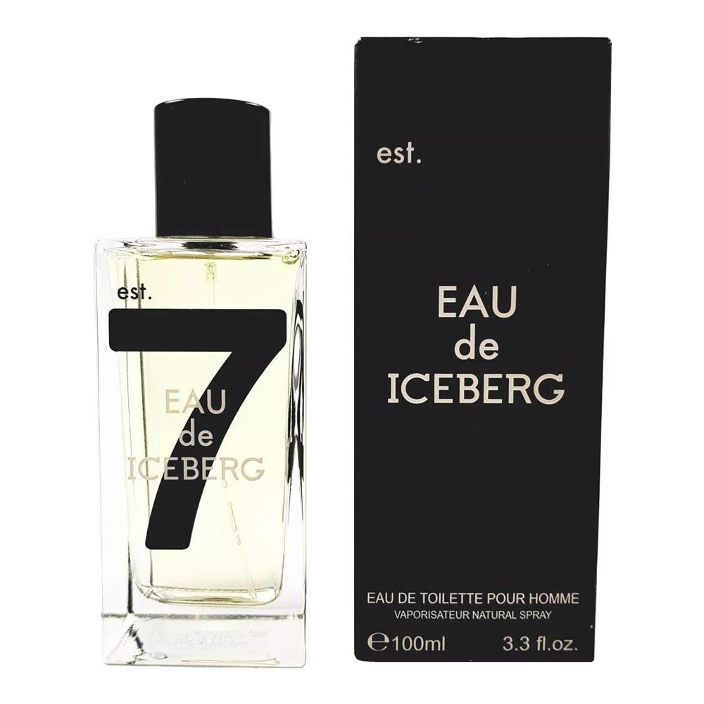 Iceberg Eau de pour homme туалетная вода 100 мл, аромат для мужчин