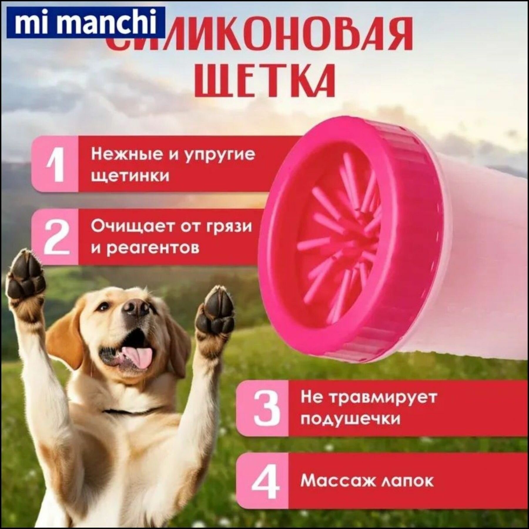 Лапомойка — фото 1