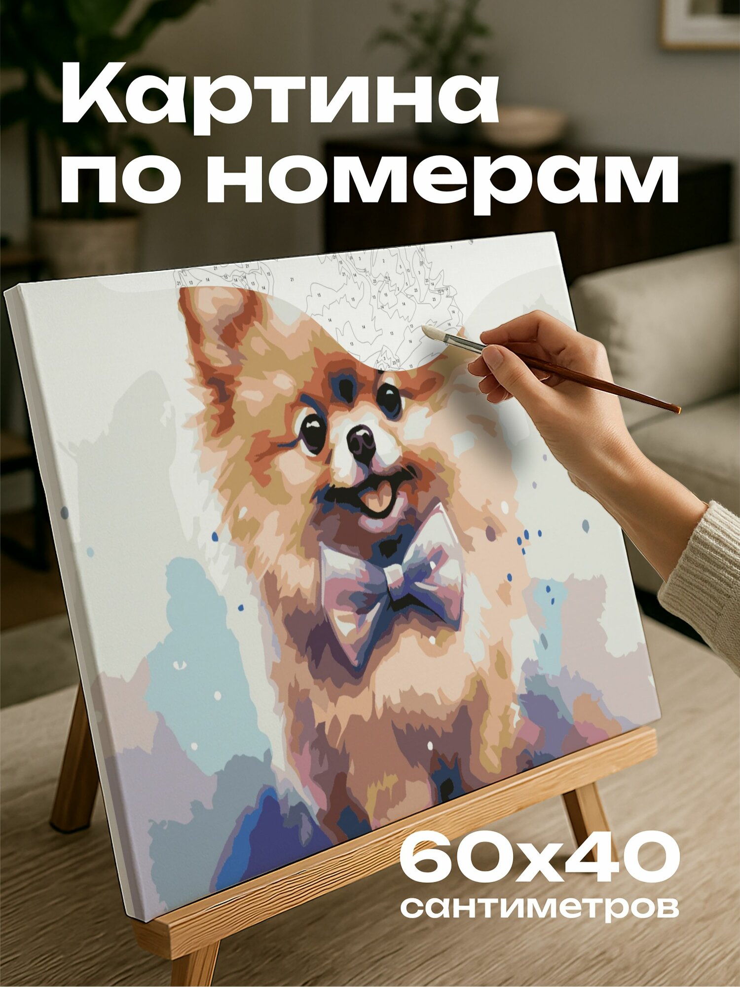 Картина по номерам 60x40 см, акварельный рисунок, шпиц, пушистая шерсть, пастельные тона, мягкие тона