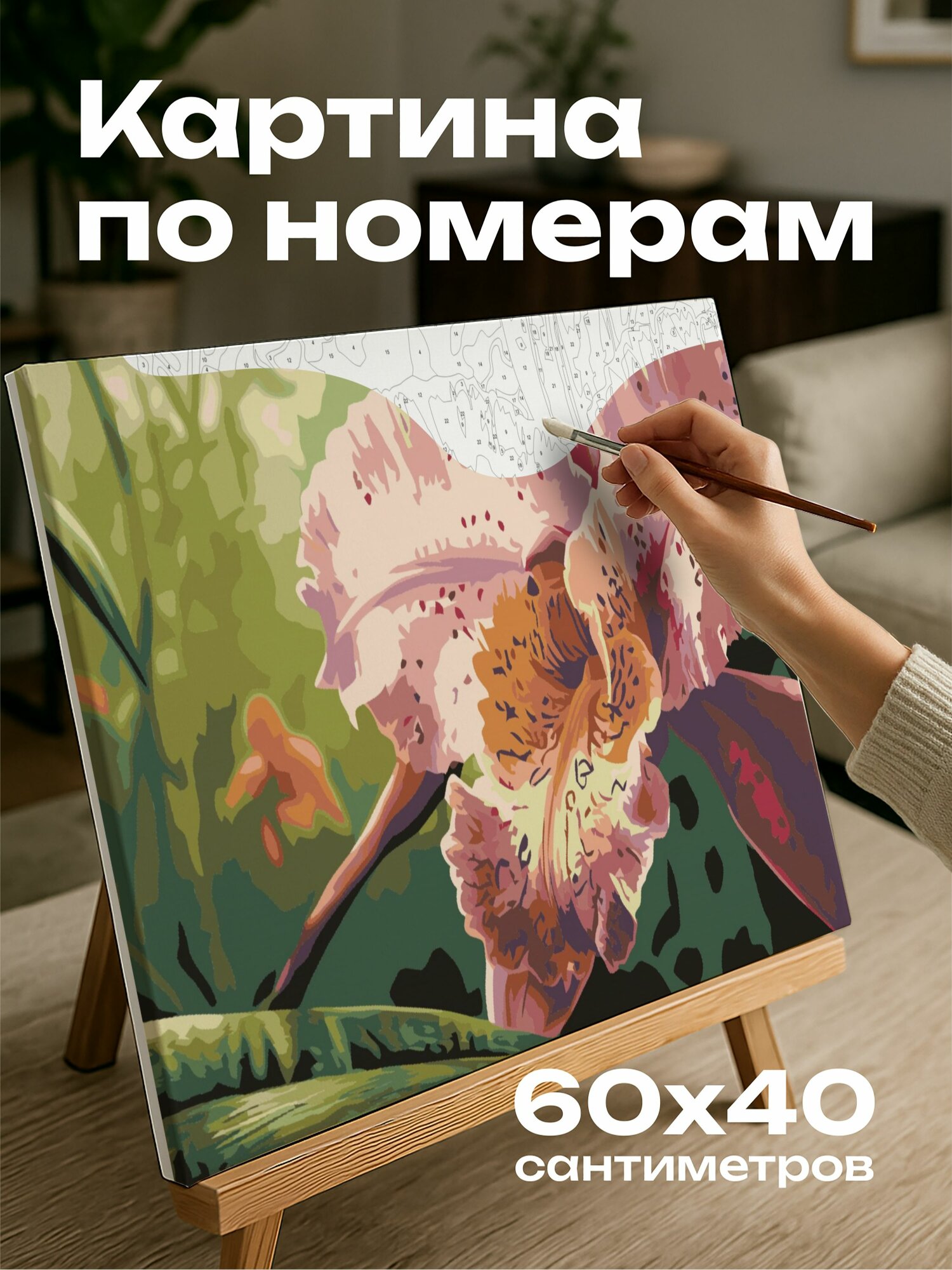 Картина по номерам 60x40 см, Орхидея, цветы, лепестки, зеленая листва, элегантность, изящество, цифровая картина
