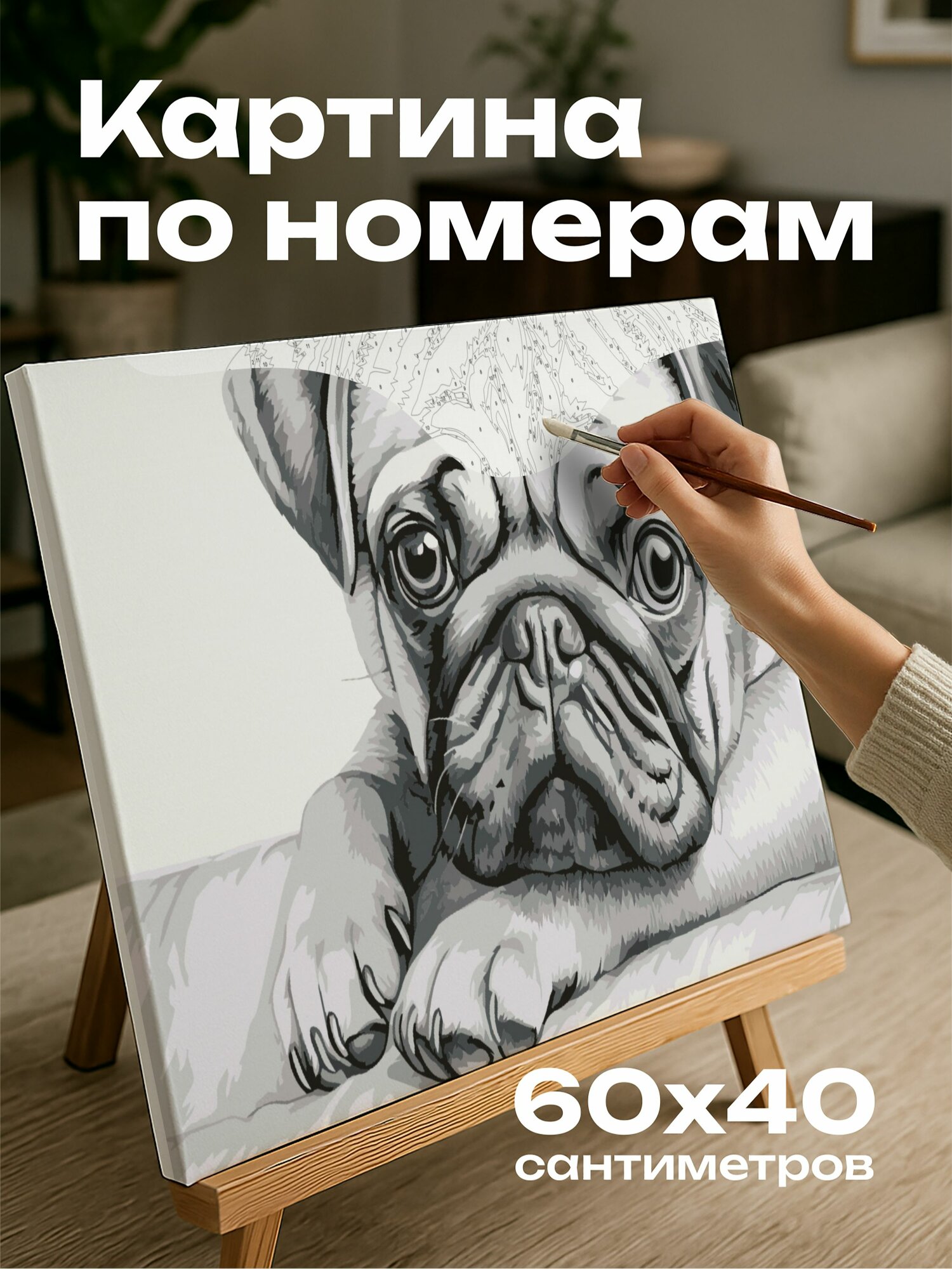 Картина по номерам 60x40 см, карандашный набросок, морда мопса, детали морщинистой морды, проникновенные глаза