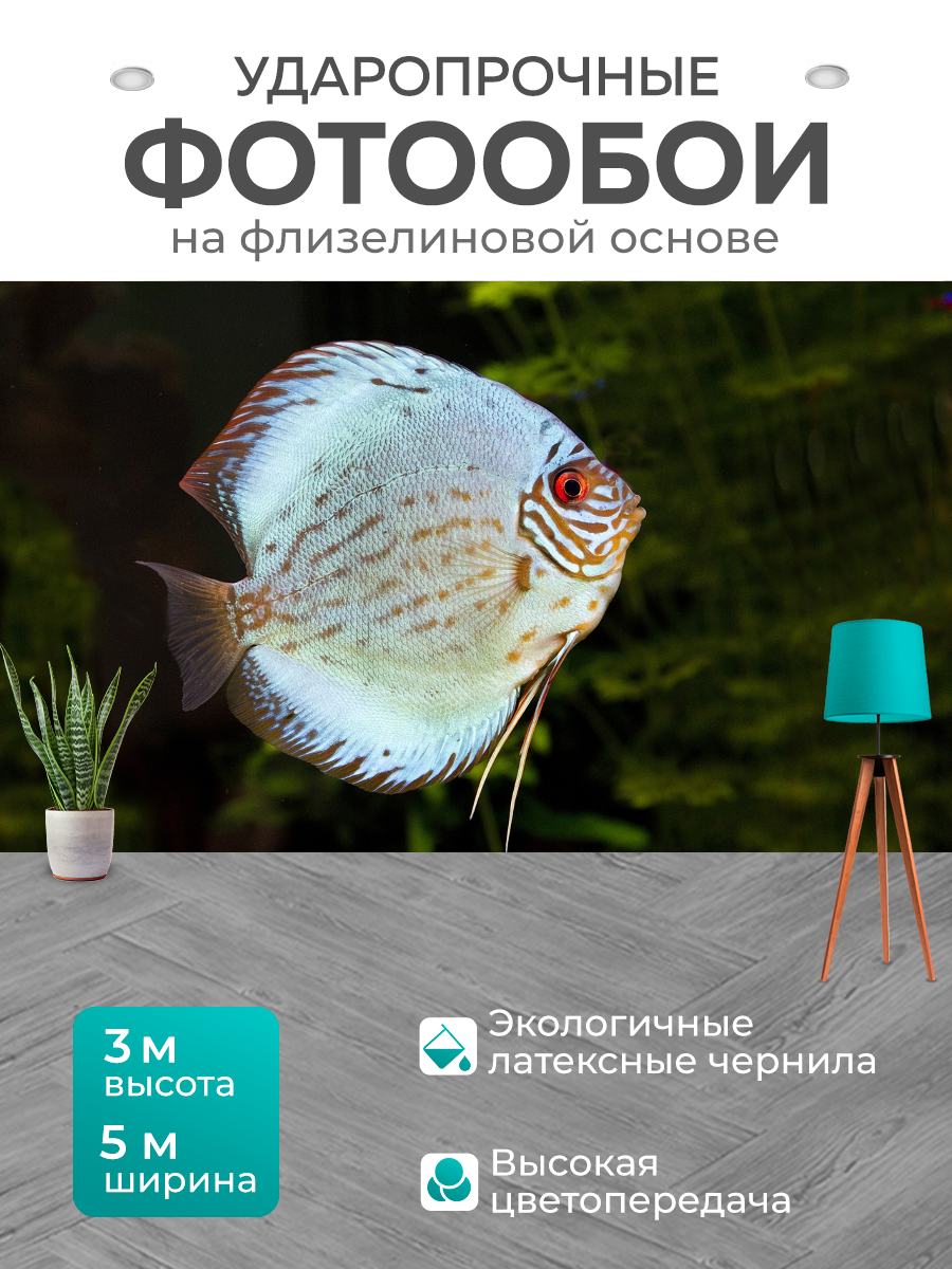 Фотообои моющиеся ударопрочные "Дискус, рыба, аквариум" 500x300 см. флизелиновые на стену