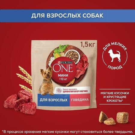 Purina ONE мини 1,5 кг для взрослых собак мелких и карликовых пород, с высоким содержанием говядины и с рисом