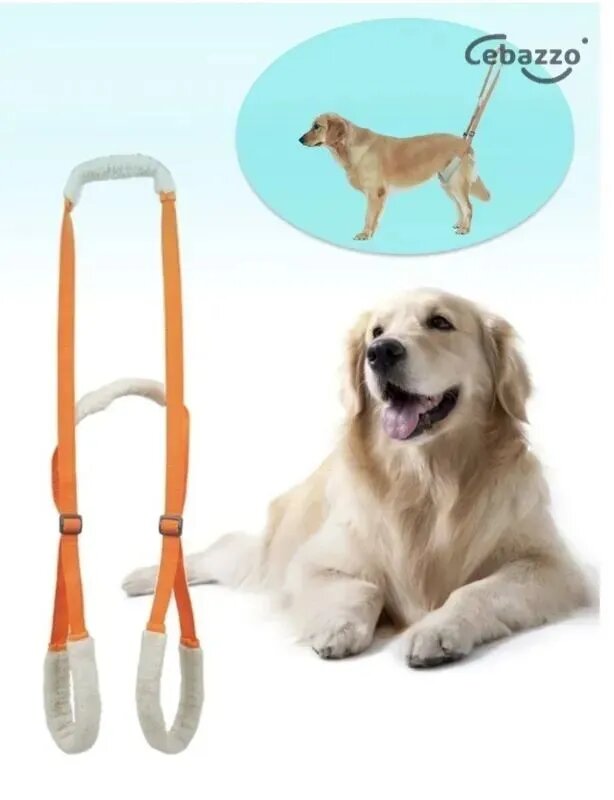 Ходунки для собак, поддержка задних лап