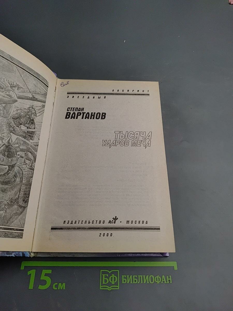 Тысяча ударов меча — фото 1
