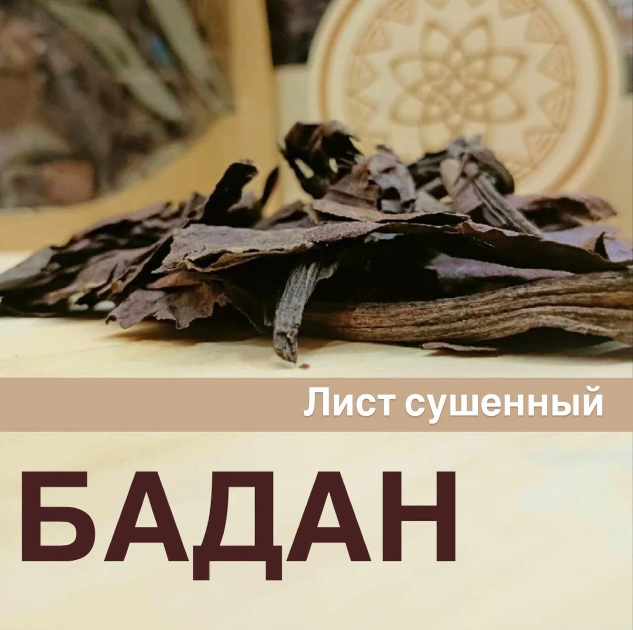 Бадан листья