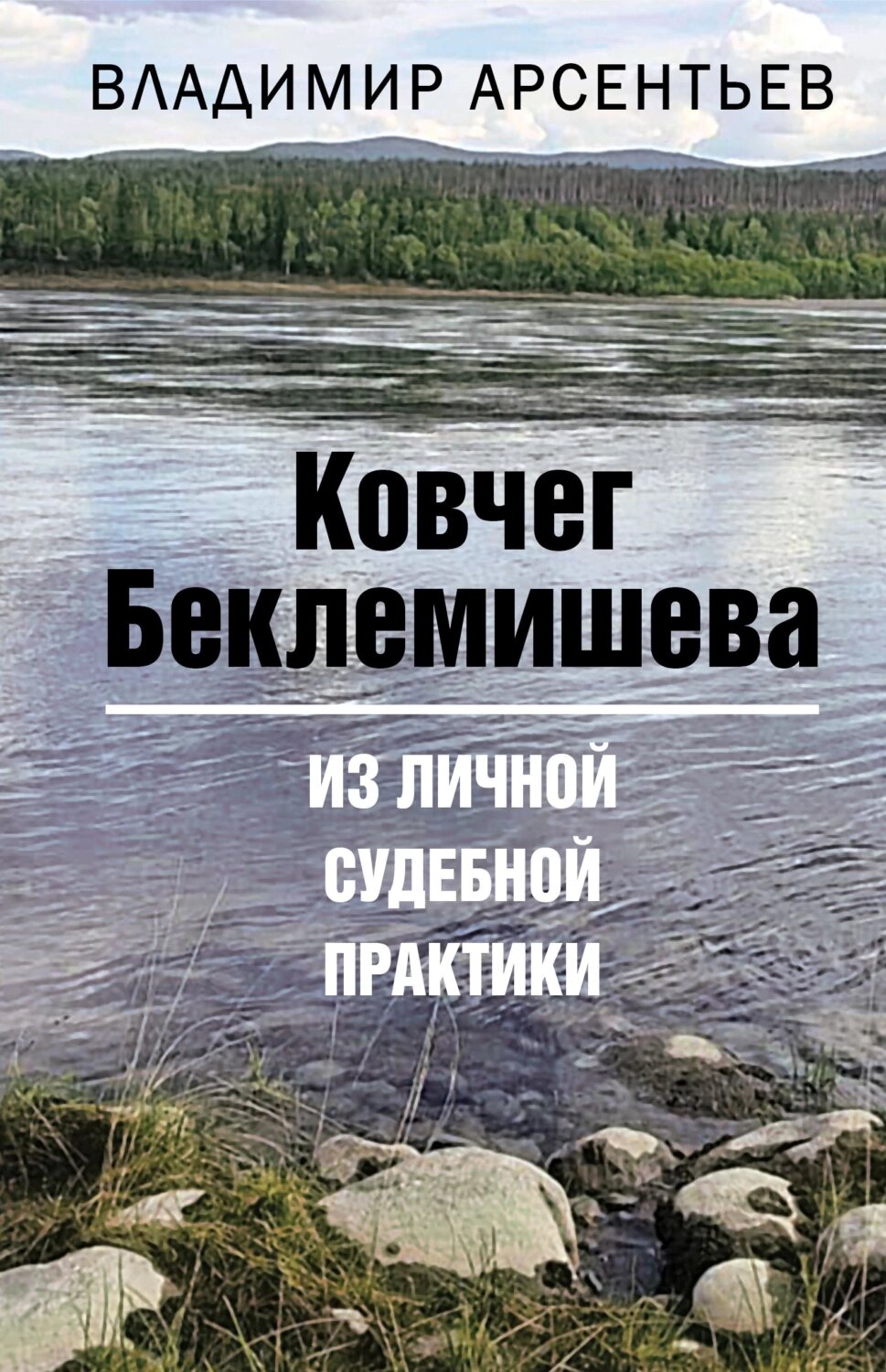 Ковчег Беклемишева. Из личной судебной практики [Цифровая книга]