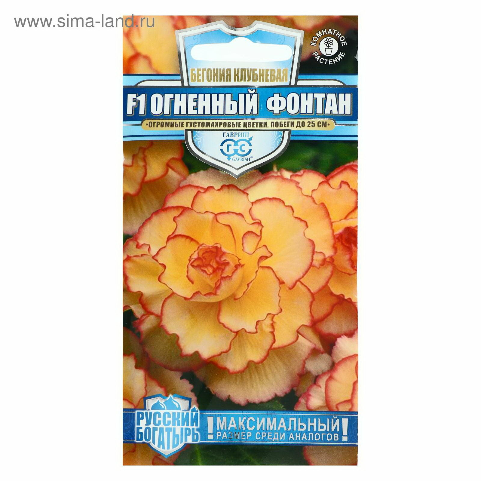 Семена цветов Бегония "Огненный фонтан", F1, серия "Русский богатырь", гранулы, 4 шт.