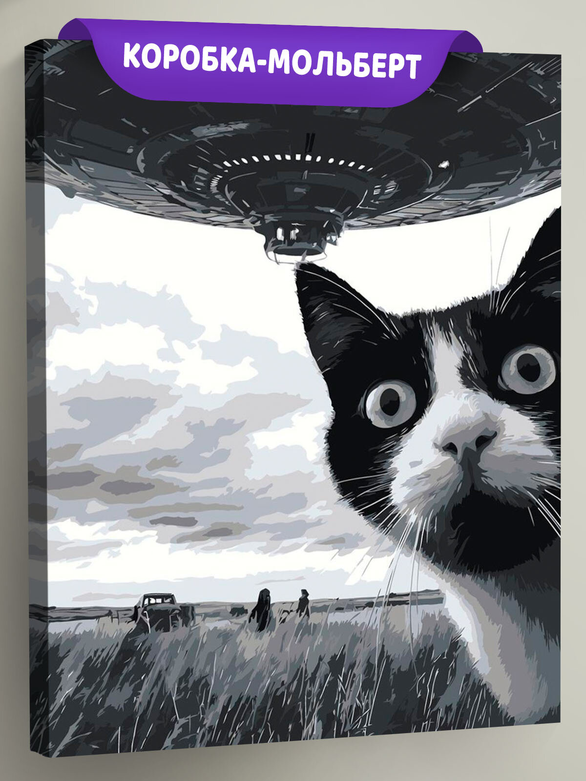 Картина по номерам на холсте с подрамником 40x50 см "Мем Кот и НЛО чернобелая"