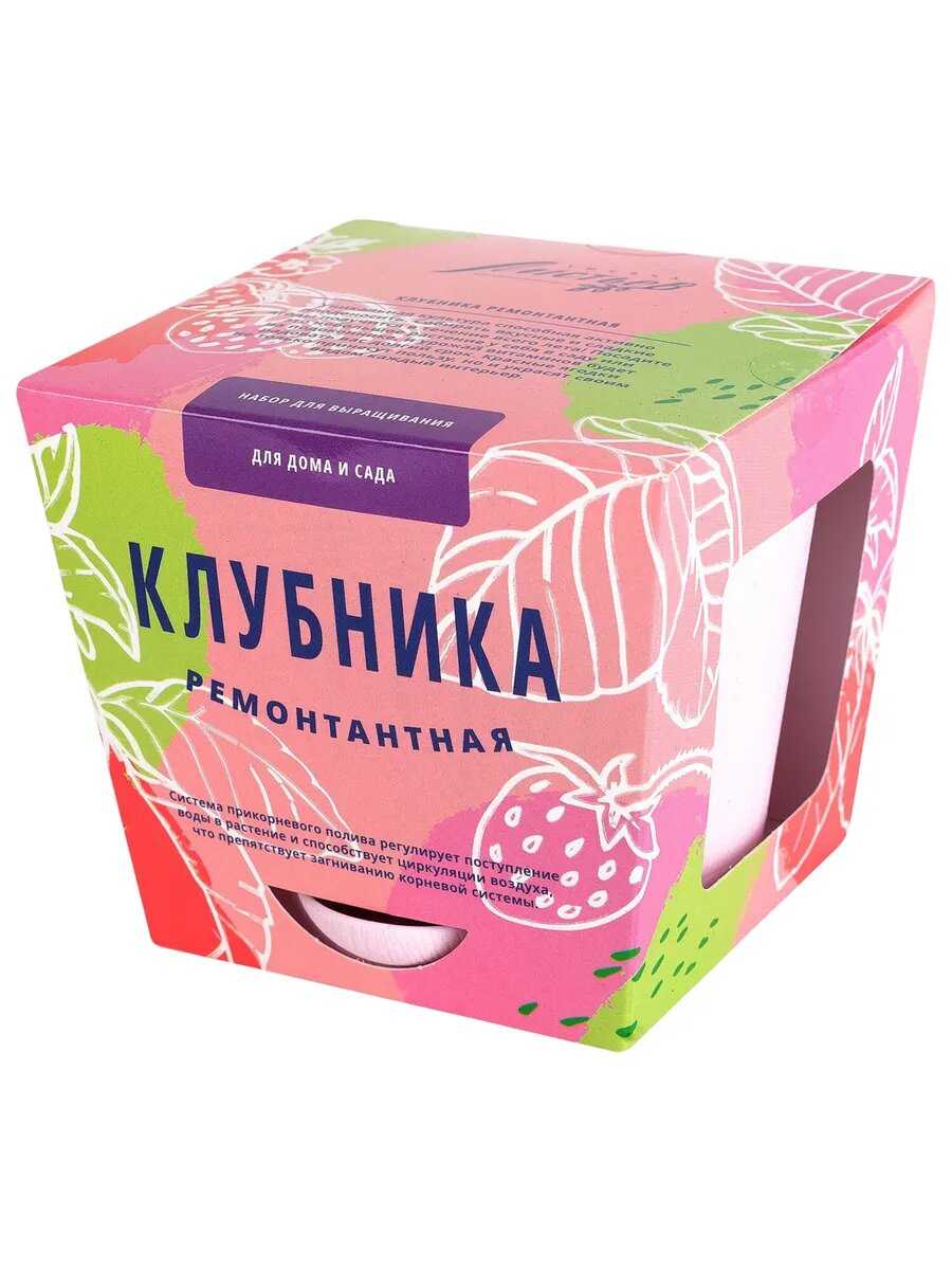 Набор для выращивания клубники ремонтантной