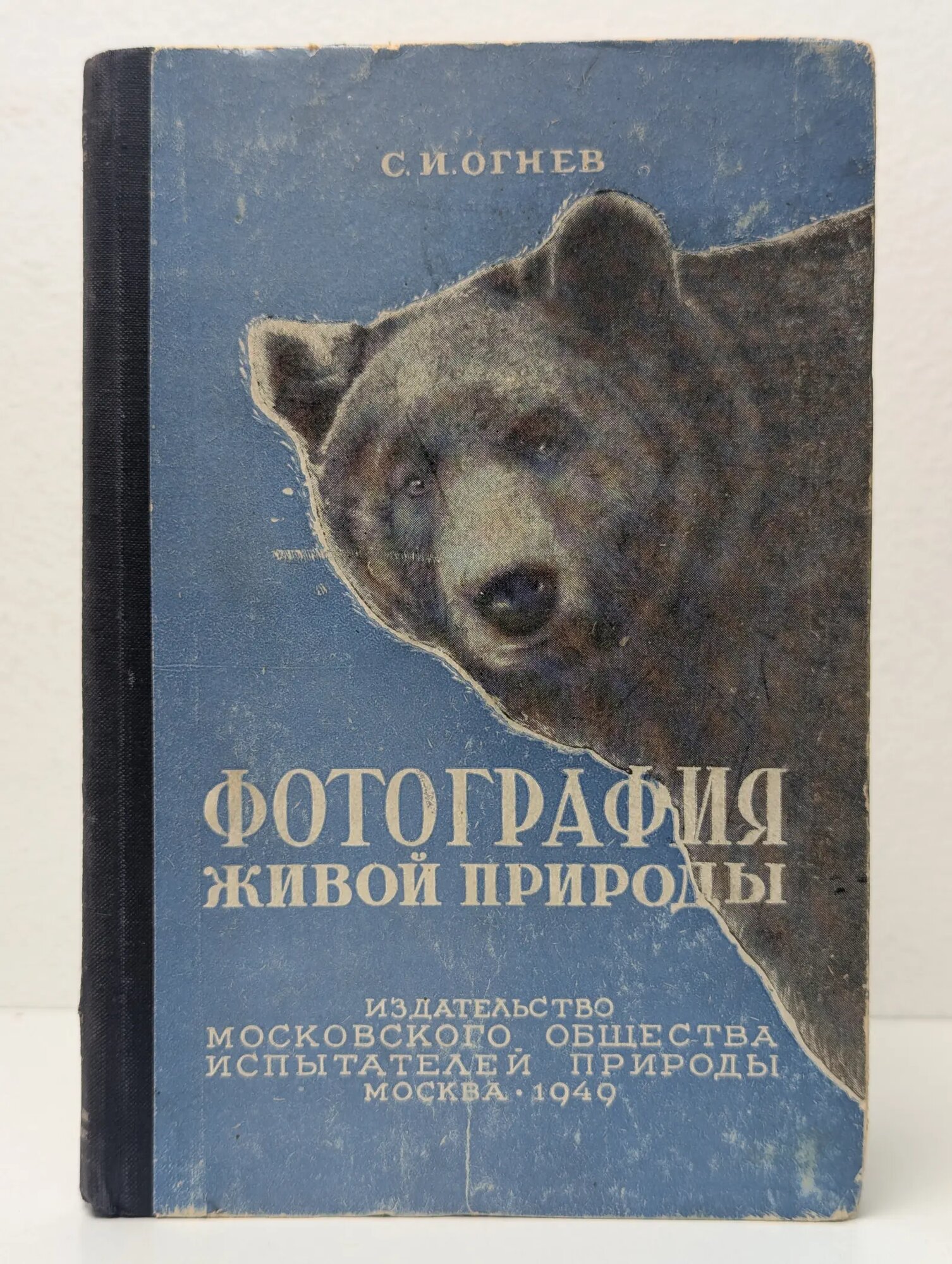 Фотография живой природы Огнев Сергей Иванович 1949