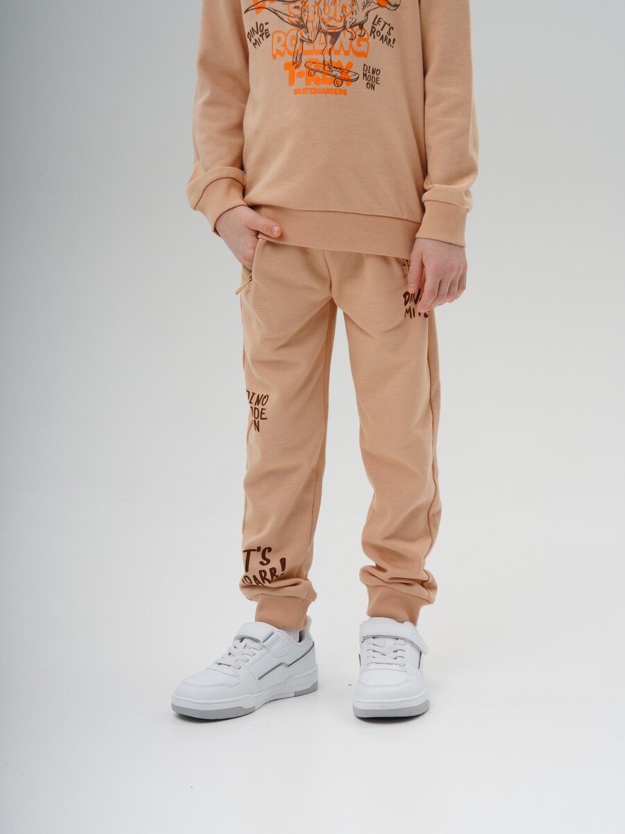 Брюки спортивные Весна-лето 2026