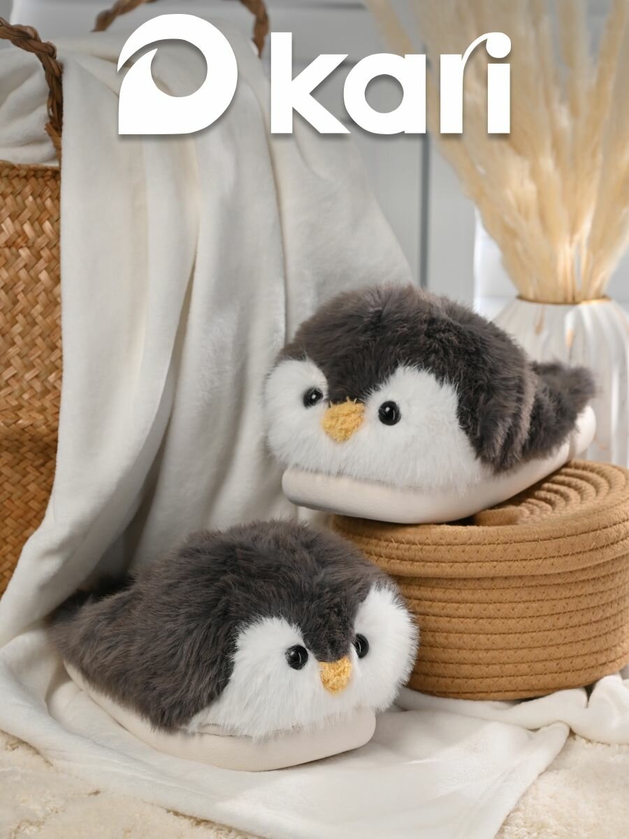 Тапочки Зима 2026