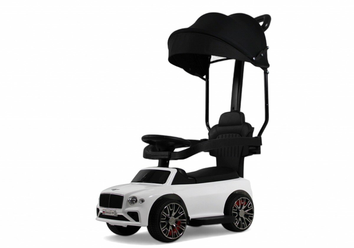 Rivertoys Детский толокар Z005ZZ-TP белый