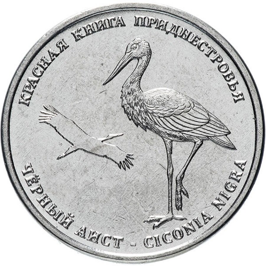 Монета номиналом 1 рубль Приднестровье 2019 г. Красная книга - Чёрный аист (1 PMR-080)