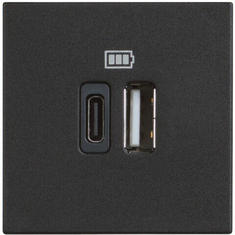 Розетка зарядное устройство USB 2 разъёма тип - C/тип - A 3000мА - 2 модуля. Цве [RG4287C2]