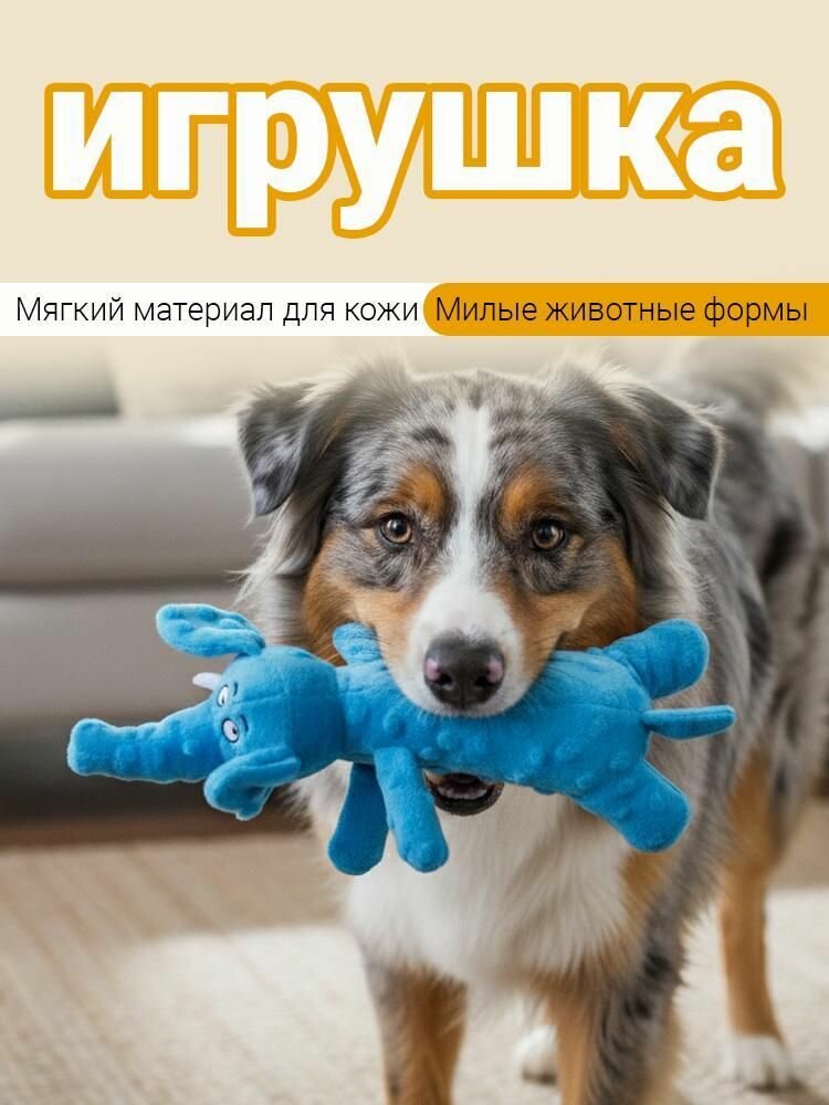 Прочные игрушки для жевания для домашних животных со звуком, игрушки для собак.
