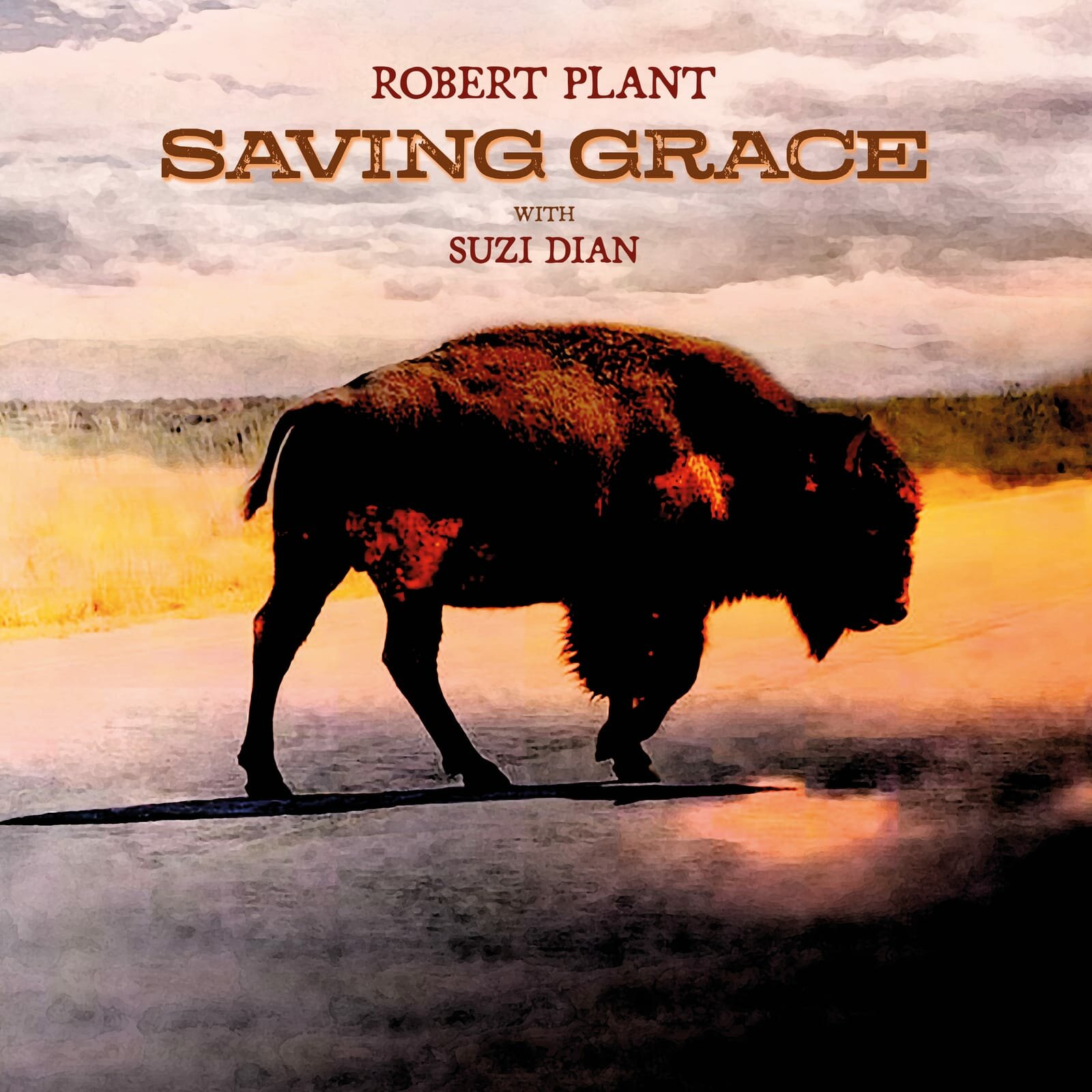 Виниловая пластинка Robert Plant with Suzi Dian - "Saving Grace [Black Vinyl]" (Nonesuch)