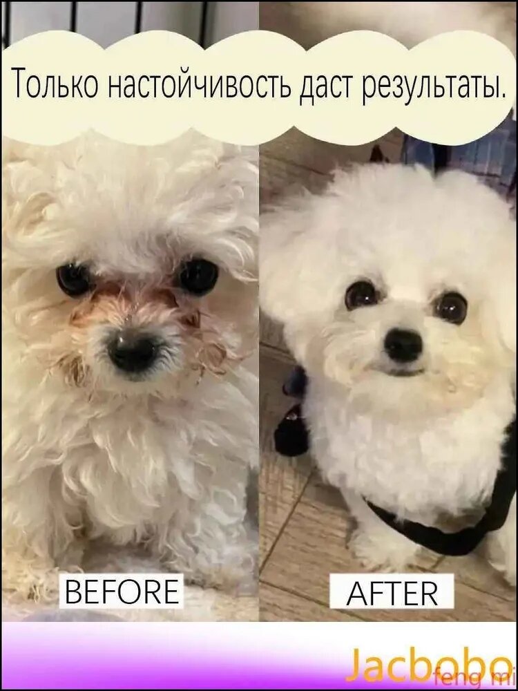 MUSENTANG Pet Tear Stain Powder Пудра для кошек и собак для удаления слезных пятен 20г — фото 1