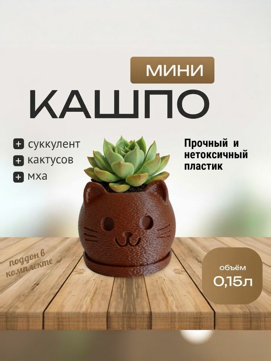Кашпо мини - "Котик" для кактусов и суккулентов, объем 0,15 л, коричневый
