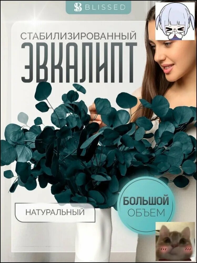 Стабилизированные цветы Эвкалипт, 55 см, 150 гр