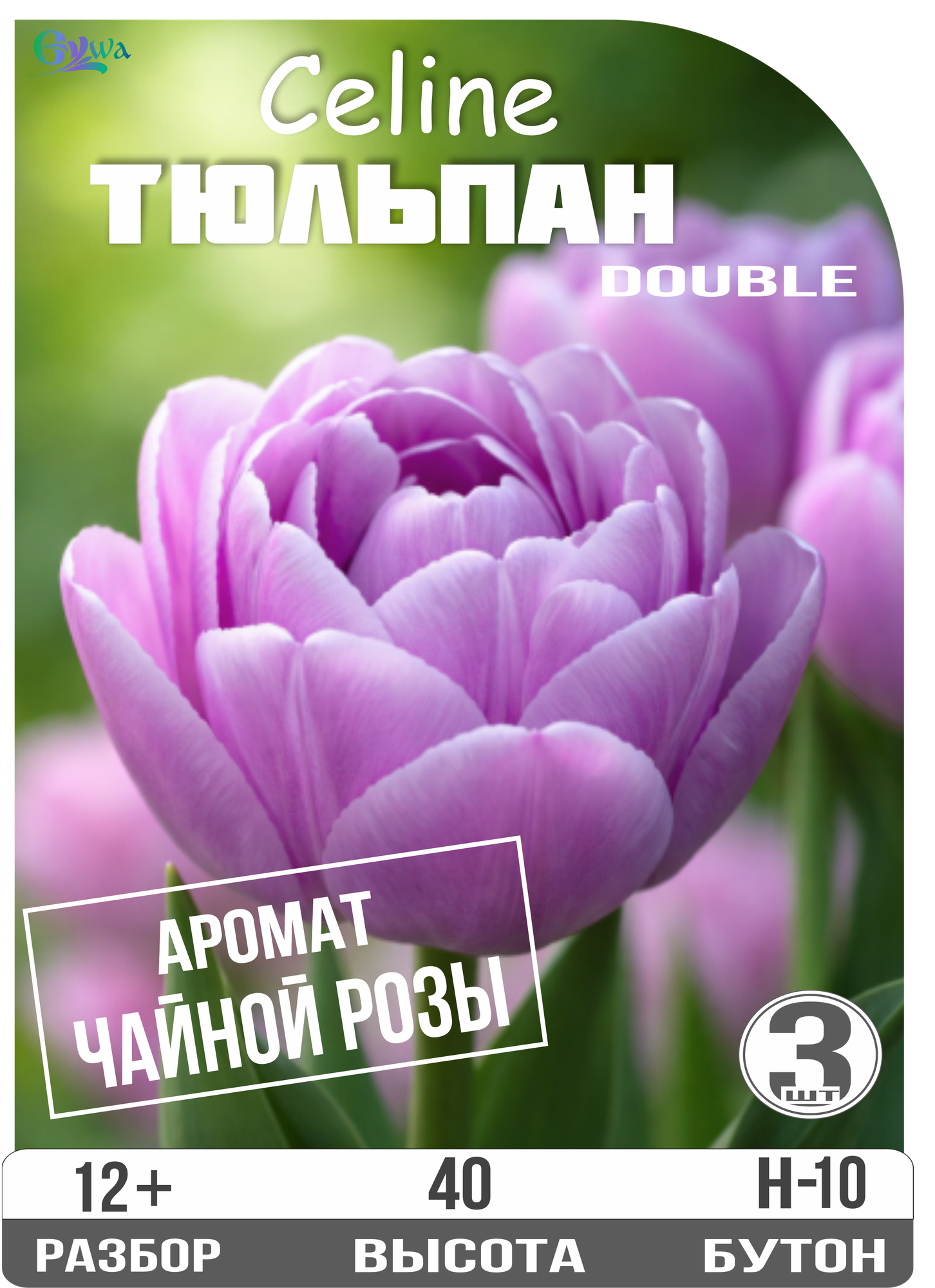 Тюльпаны "Селин", многолетние, пионовидные, высота 45см, разбор 12+, 3 шт, Eywa