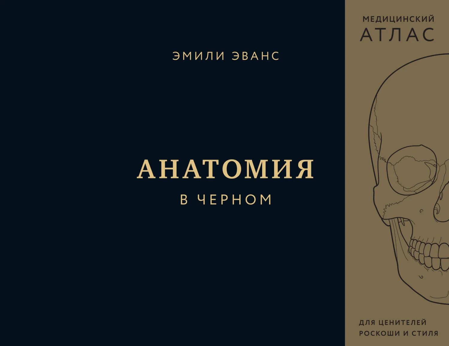 Анатомия в черном [Цифровая книга]