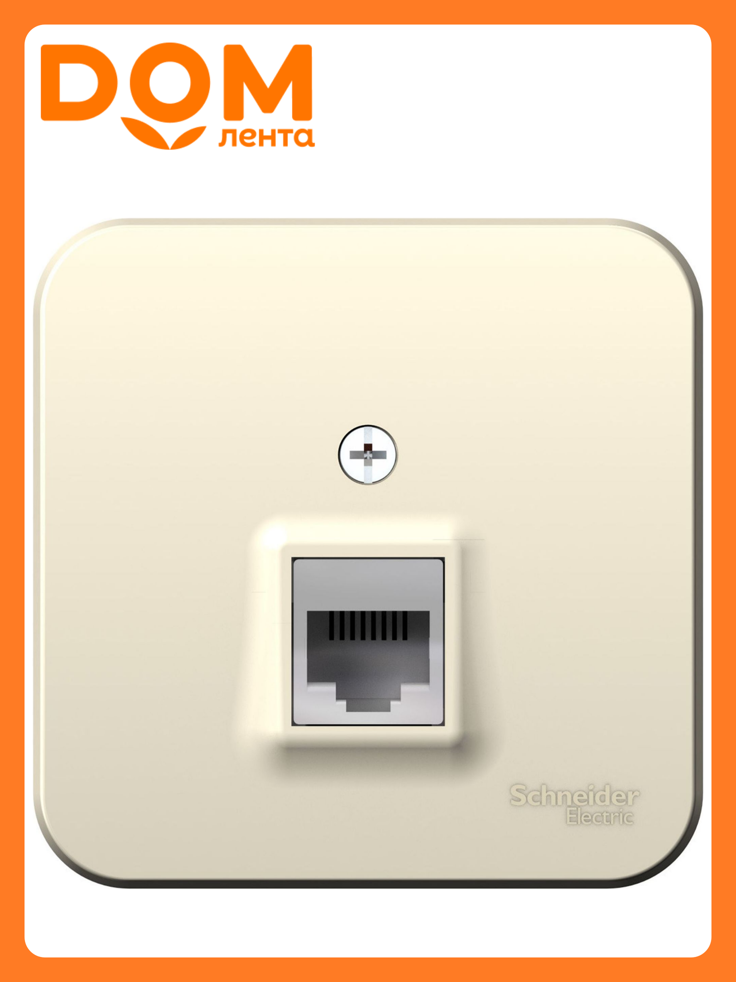 Розетка Schneider Electric Systeme Electric Blanca, BLNIA045002, скрытый/открытый монтаж, коричневая