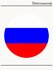 Термонаклейка для одежды и аксессуаров DTF-печать Флаг России