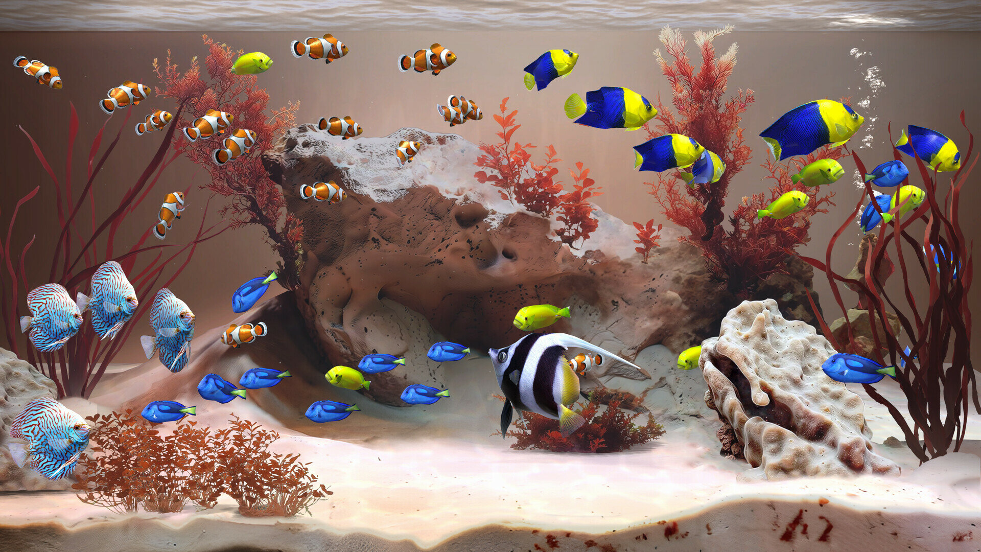 Zen Aquarium, Все страны — фото 1