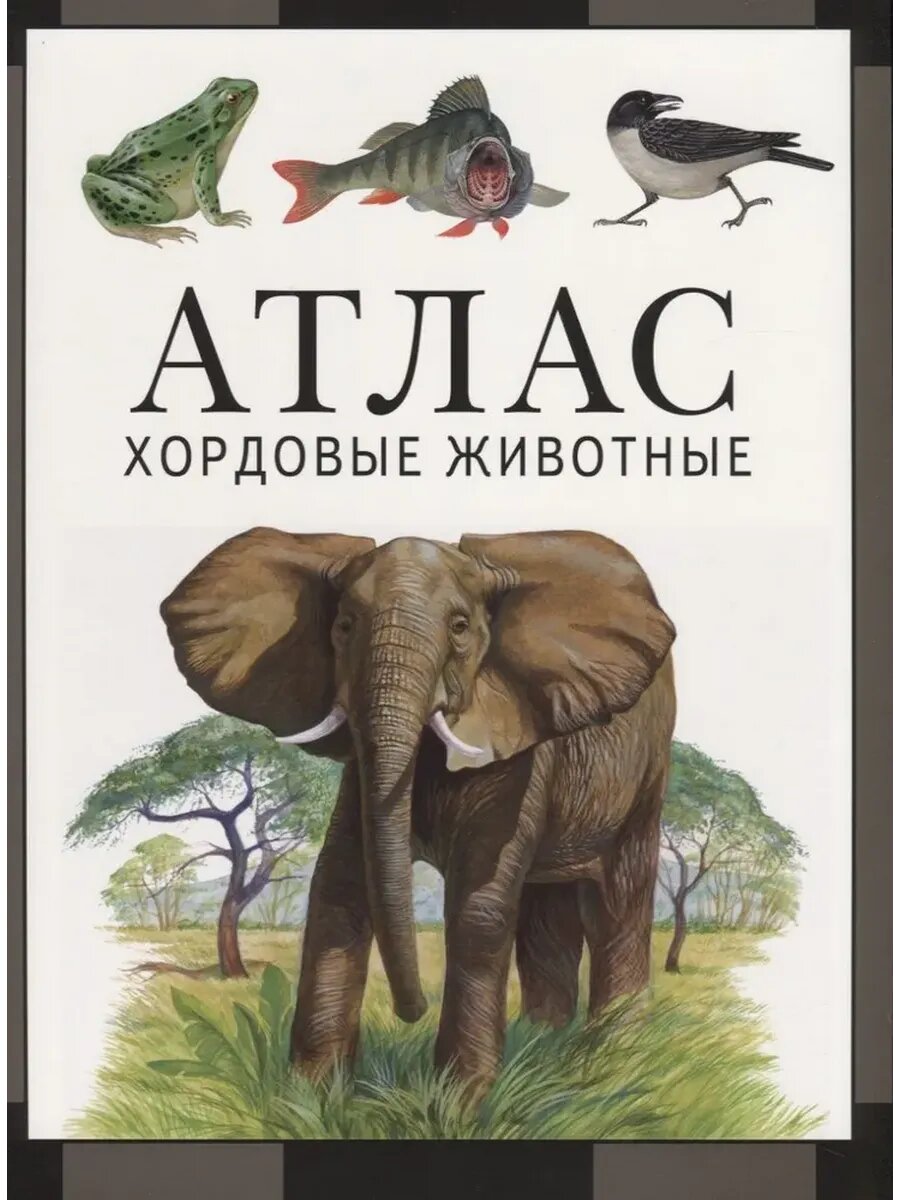 Хордовые животные: атлас (2-е, стереотипное)