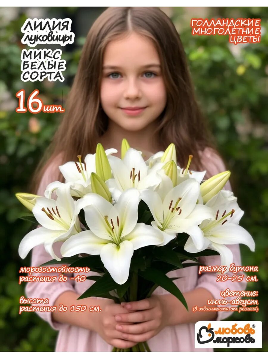 Лилия Луковица, Микс белые, 16 шт