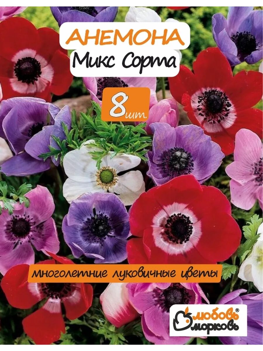 Анемона луковицы, микс сорта 8шт