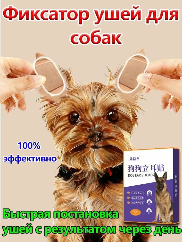 Бесхирургический фиксатор ушей для собак 4пластыря