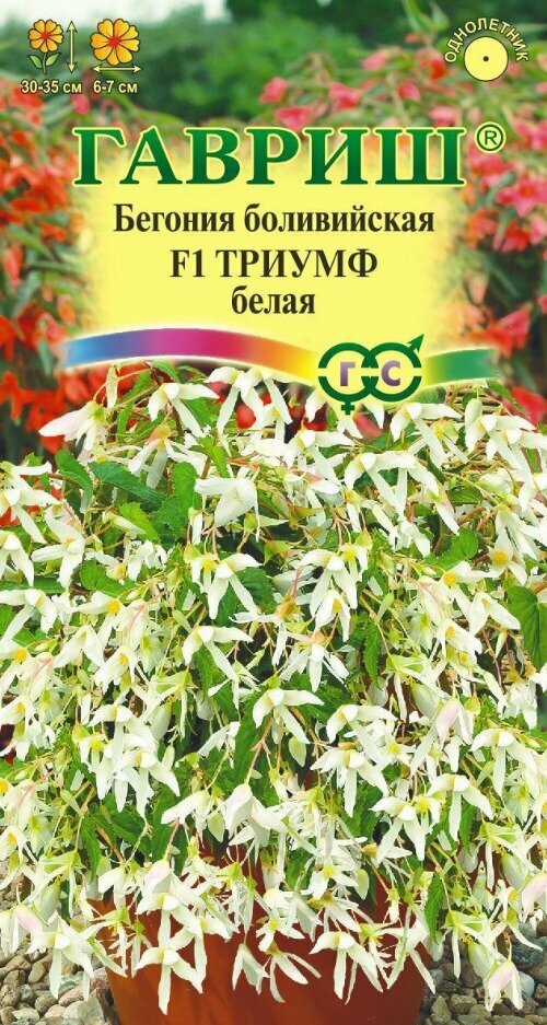 Семена бегонии Гавриш Триумф белый, боливийская, 5 шт 1071857179