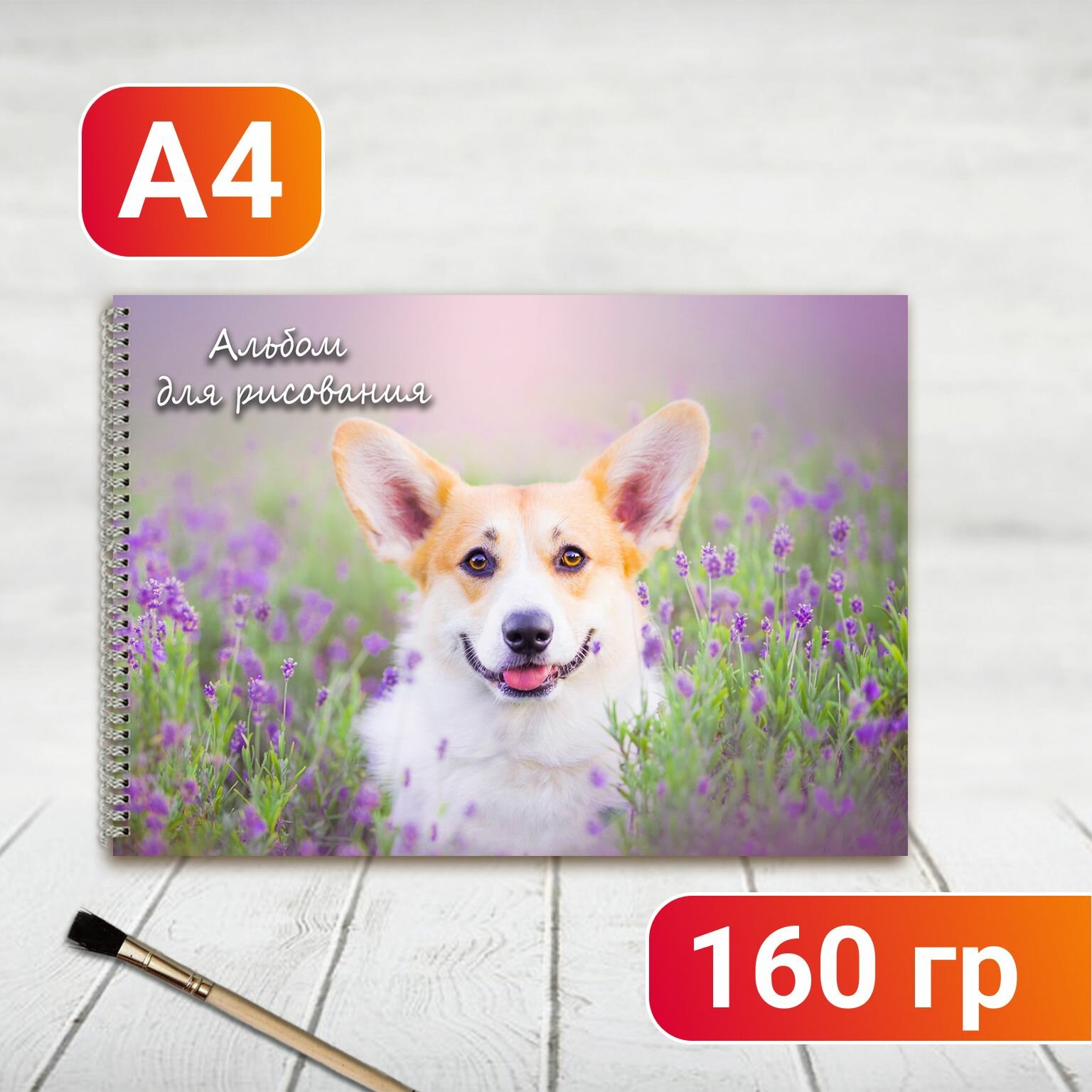 Альбом для рисования Корги