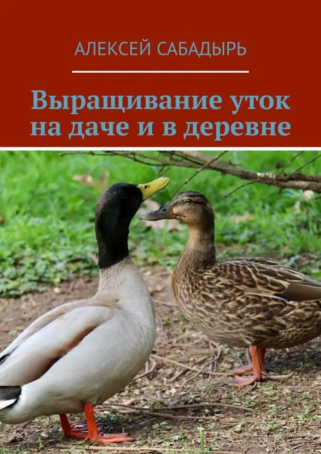 Выращивание уток на даче и в деревне [Цифровая книга]