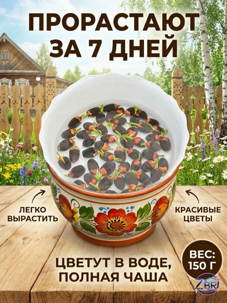 Набор для выращивания, 60 штук семян — фото 1