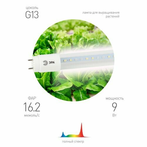Лампа светодиодная FITO-9W-Ra90-Т8-G13-NL 9Вт T8 линейная 46LED 2835 IP20 35000ч для растений полноспектральная стекло Эра Б0042988