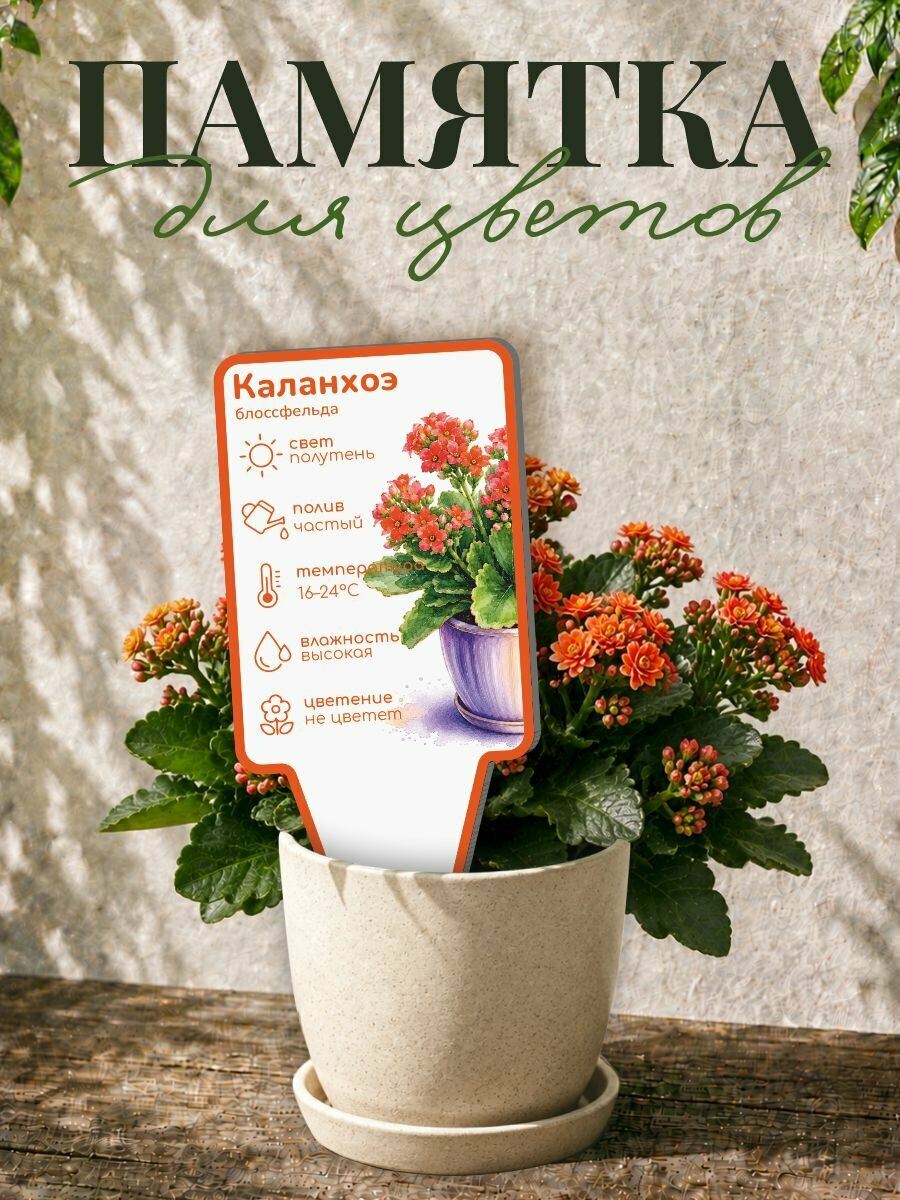Фигурки для сада Каланхоэ