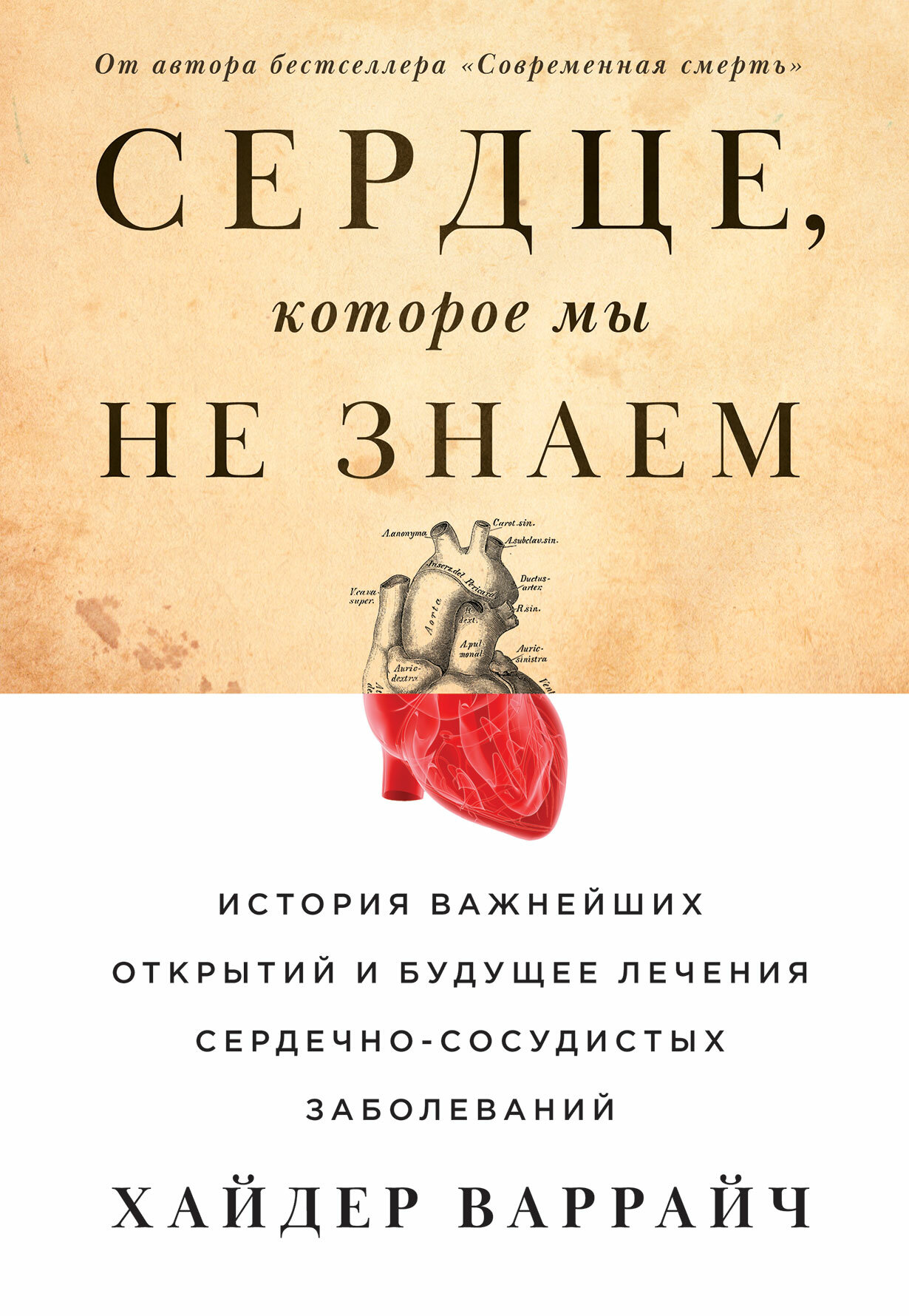 Сердце, которое мы не знаем: История важнейших открытий и будущее лечения сердечно-сосудистых заболе