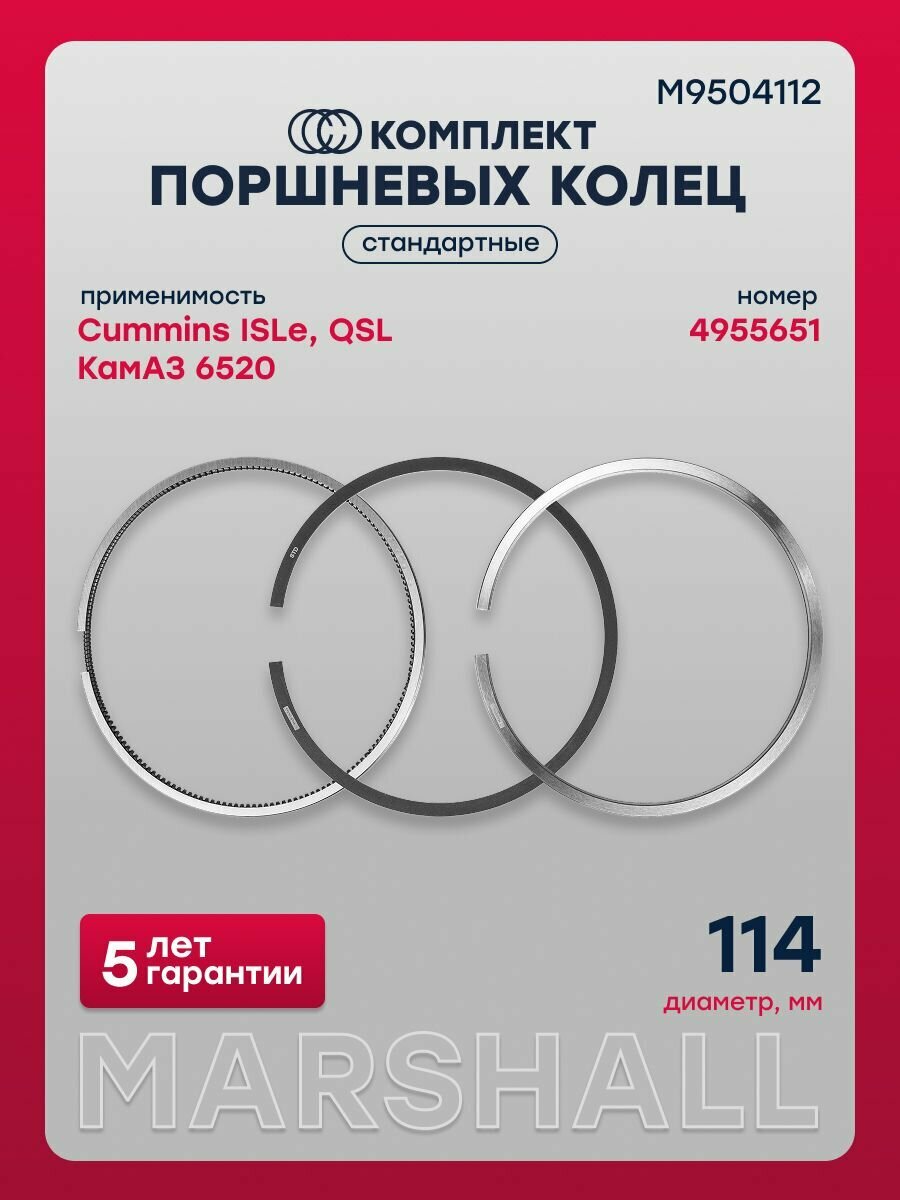 Кольца поршневые (комплект) для Cummins ISLe о. н. 4955651 (M9504112)