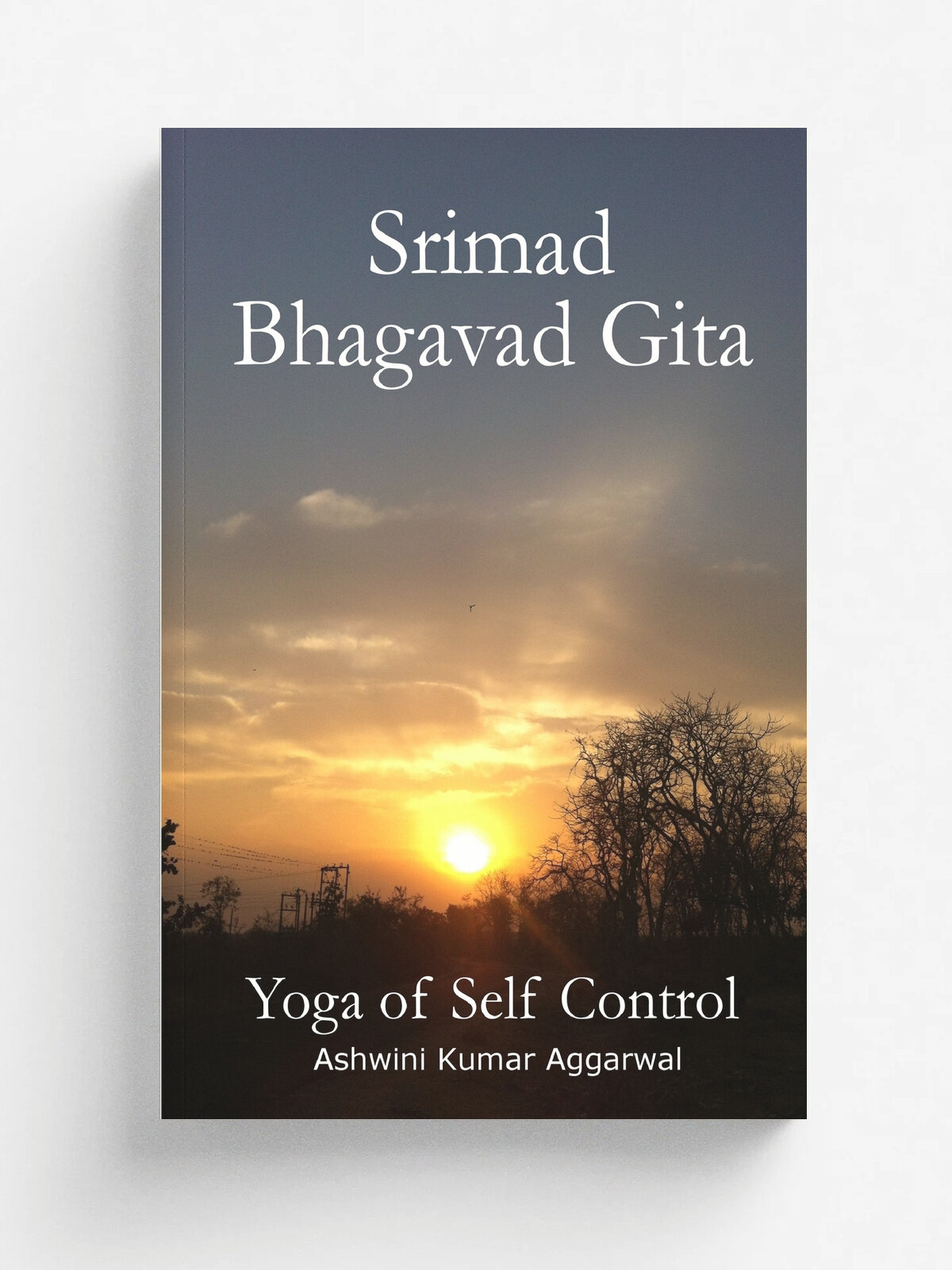 Srimad Bhagavad Gita - Yoga of Self Control
