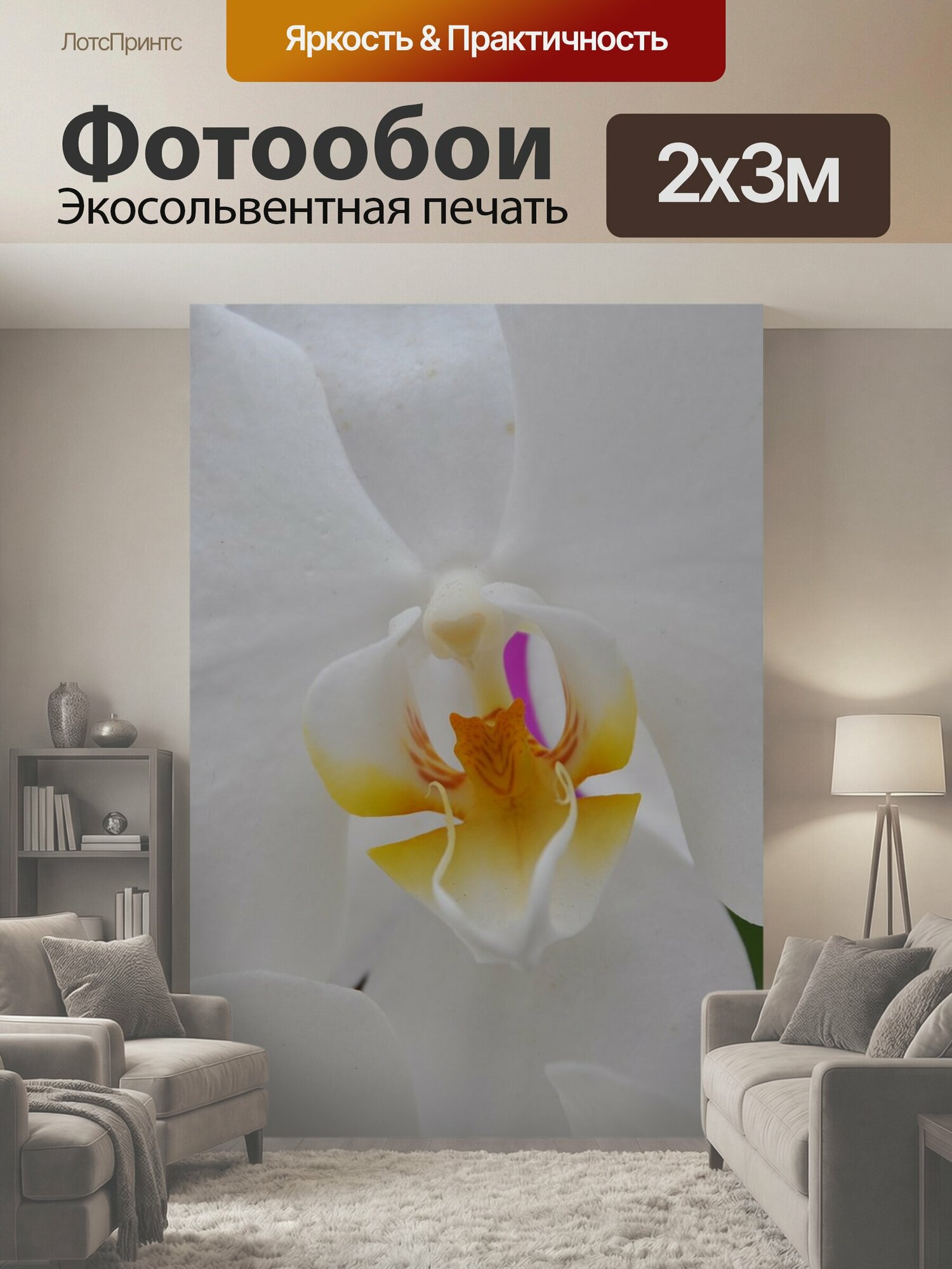 Фотообои "Орхидея, орхидея белый, цветок" 200x300 см. экосольвентная печать